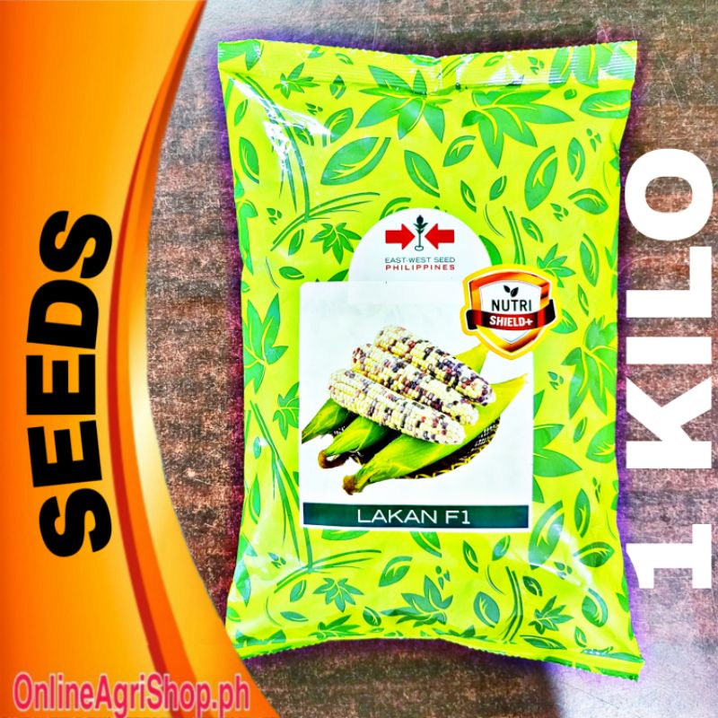 LAKAN F1 HYBRID CORN SEEDS (1 KILO) EAST WEST | Shopee Philippines