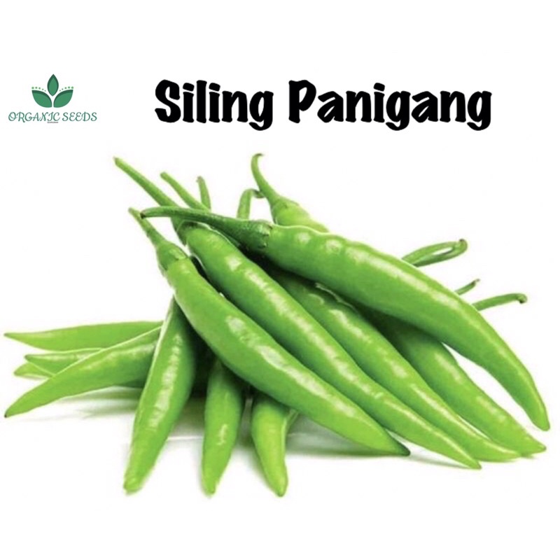 Sili Panigang BEST Seeds (10pcs seed) | Shopee Philippines