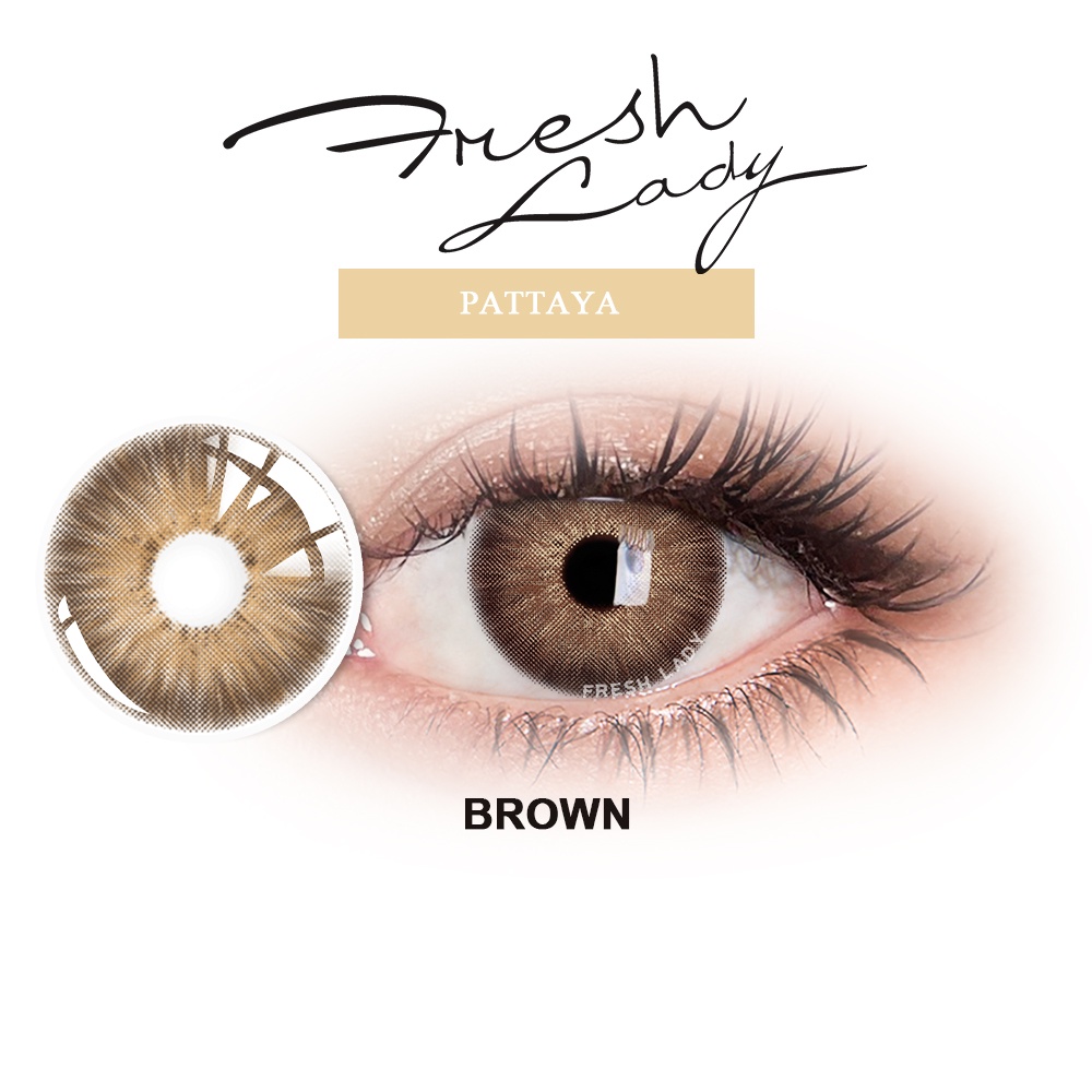 Fresh Lady Yearly Magnificent Sahara Brown Colored Contact Lenses Non ...
