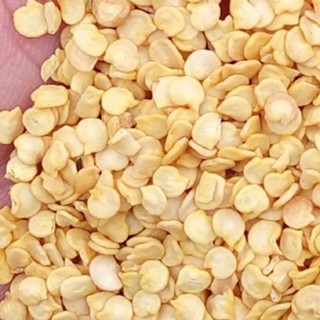 Sili Panigang BEST Seeds (10pcs seed) | Shopee Philippines