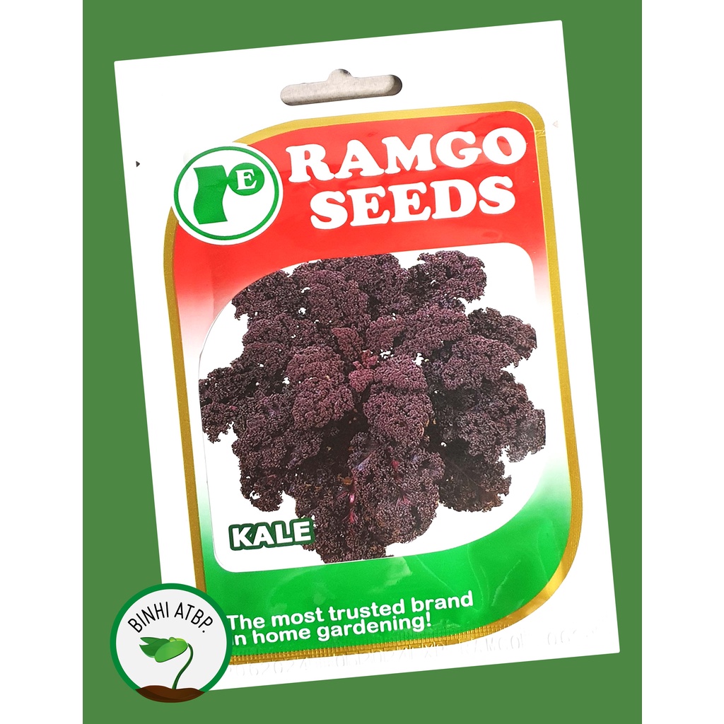 Ramgo Kale Red Redbor Seeds | Shopee Philippines