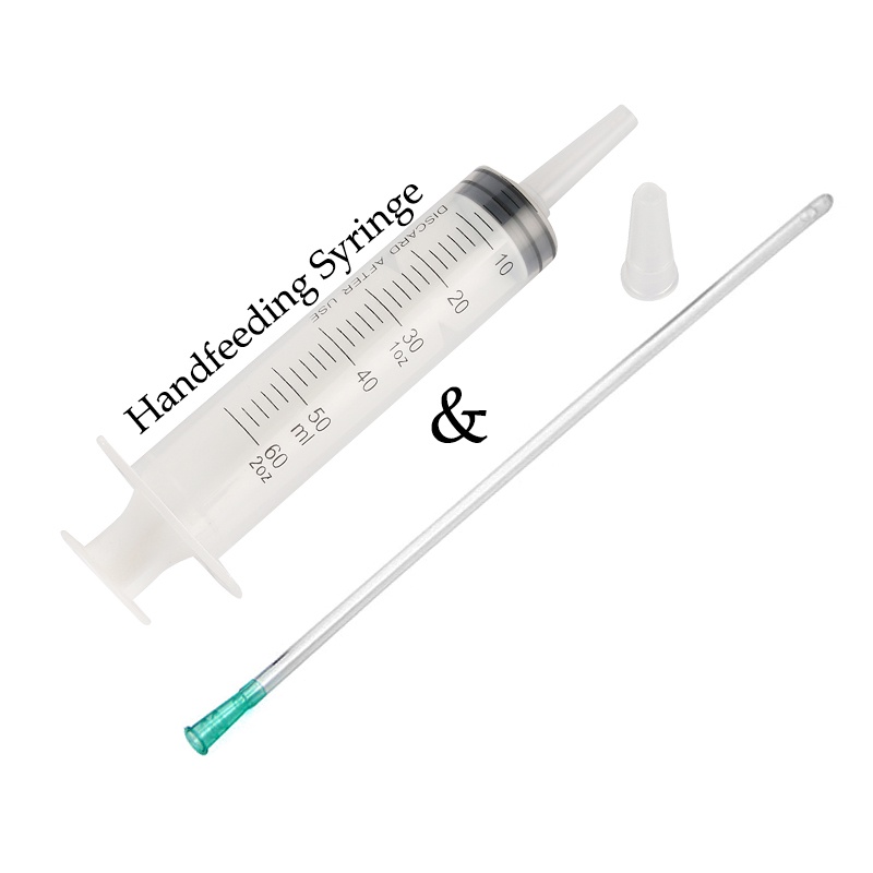 60cc Bird parrot syringe feeder with feeding tube Handfeeding syringe ...