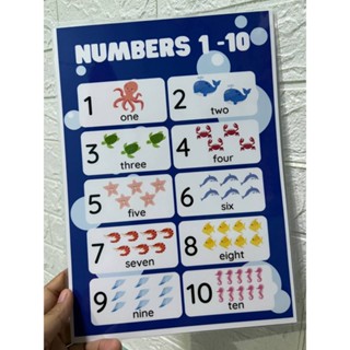 Learning materials and educational chart for kids Laminated A4 Size ...