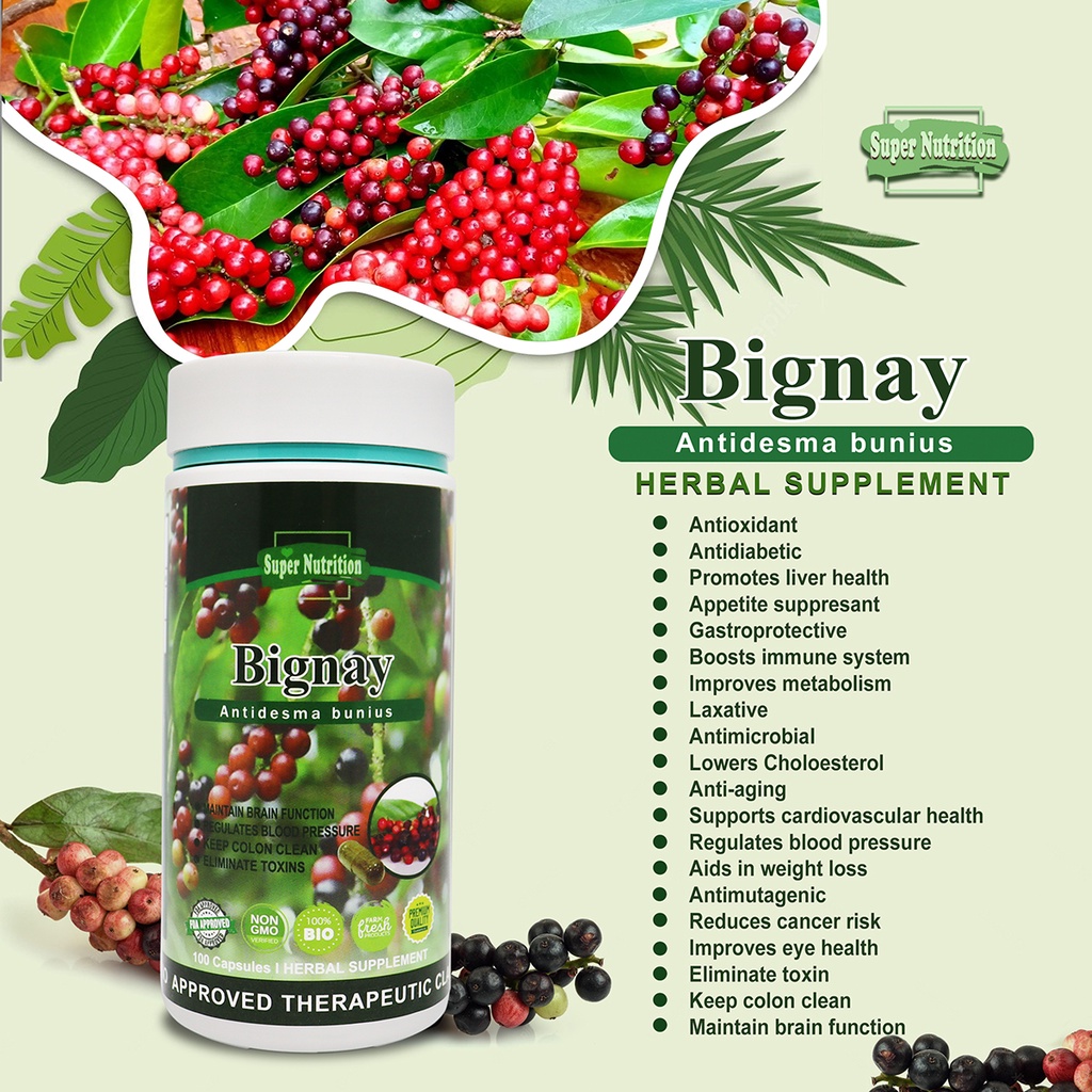 Authentic Bignay Supplement Capsules 500mg x 100 Capsules (Antidesma ...