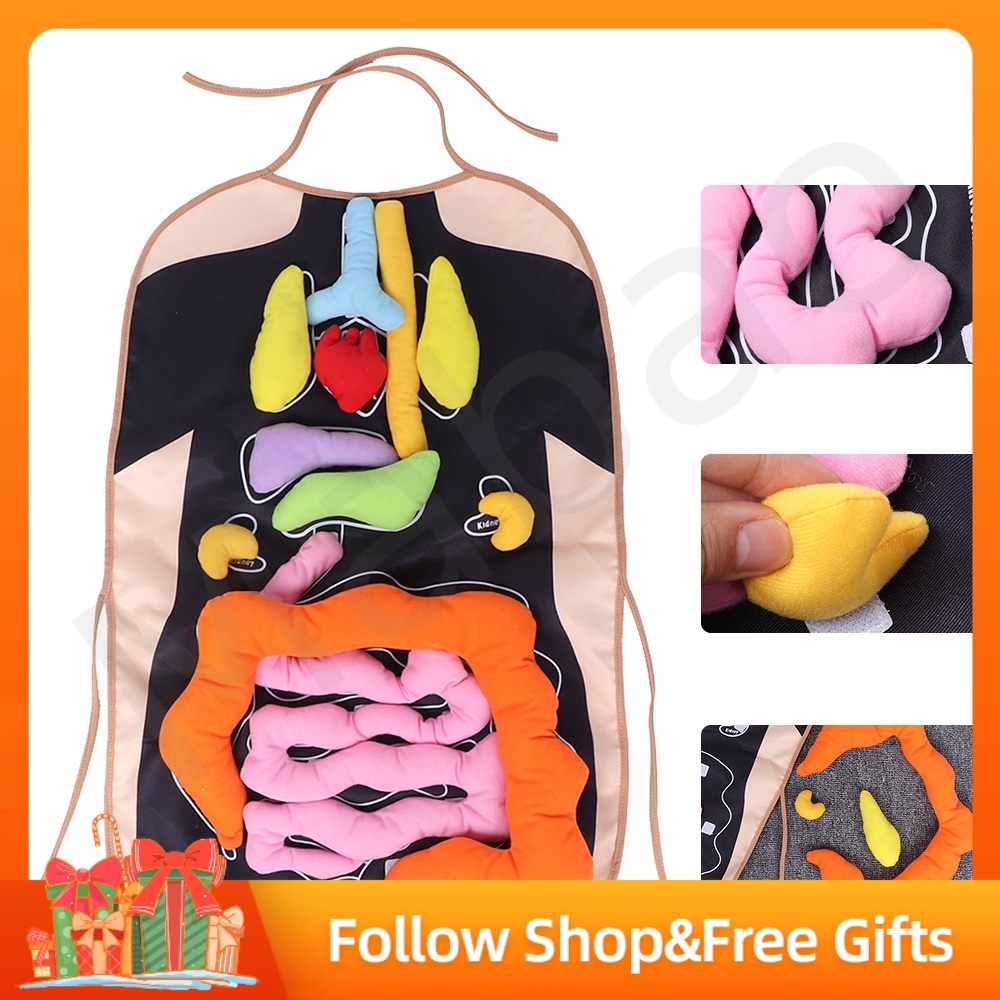 [READY STOCK] 3D Apron Plush Anatomy Children Physiological Body Organs ...