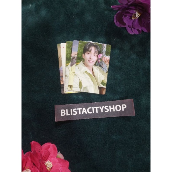 ONHAND OFFICIAL DK PHOTOCARD VOCAL UNIT SEVENTEEN COMPACT CARVER 