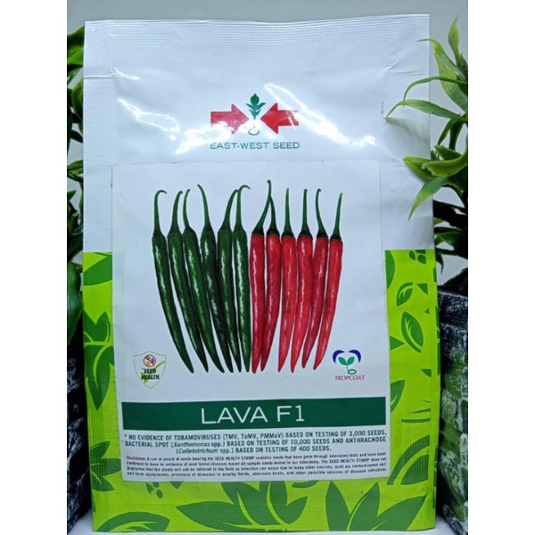 Lava F1 / East West Seed Asenso pouch ( 425 seeds) | Shopee Philippines