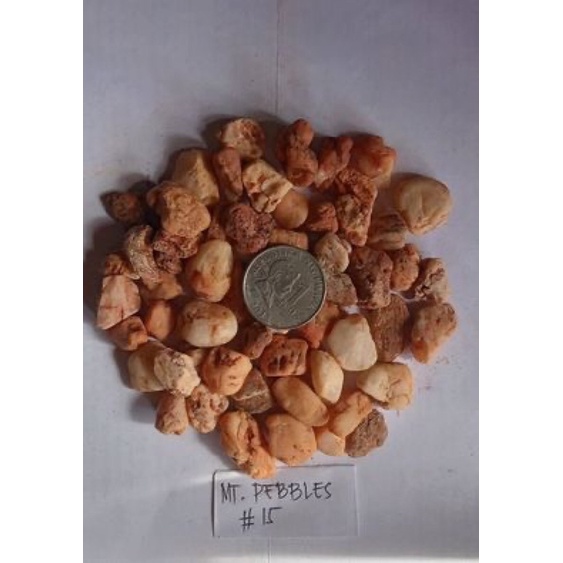 decorative mt pebbles for landscaping 5kg | Shopee Philippines