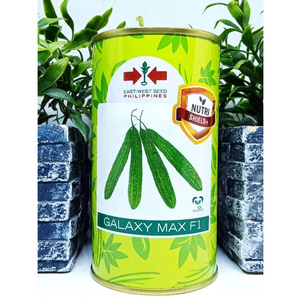Galaxy Max F1 / Ampalaya, East West Seed ( 100gms / 500 seeds ...