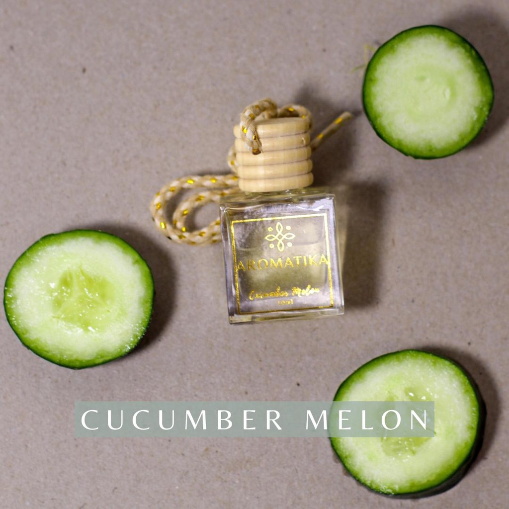 AROMATIKA-Cucumber Melon Premium Scents Hanging Diffuser Car & Home Air ...