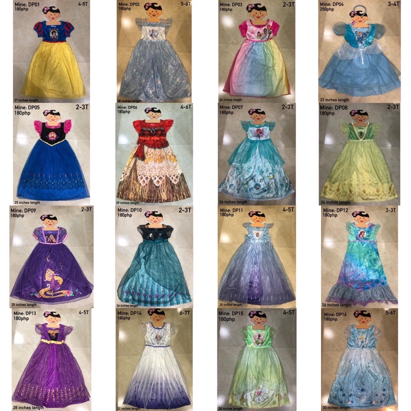 Brandnew Disney Princess Dress Heroes Book Character Costume