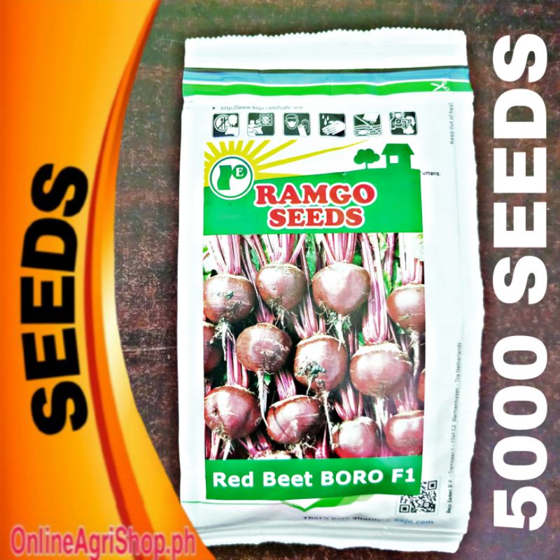BORO F1 HYBRID RED BEET SEEDS BEJO (5000 SEEDS) BY RAMGO SEEDS | Shopee ...