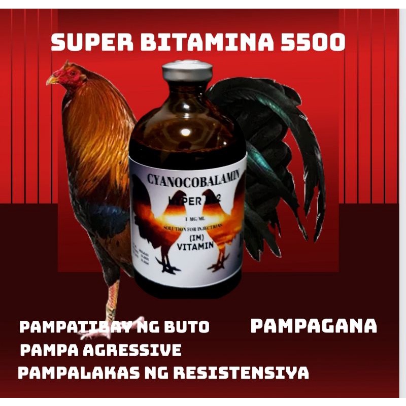 hyper b12 vitamins 100ml | Shopee Philippines