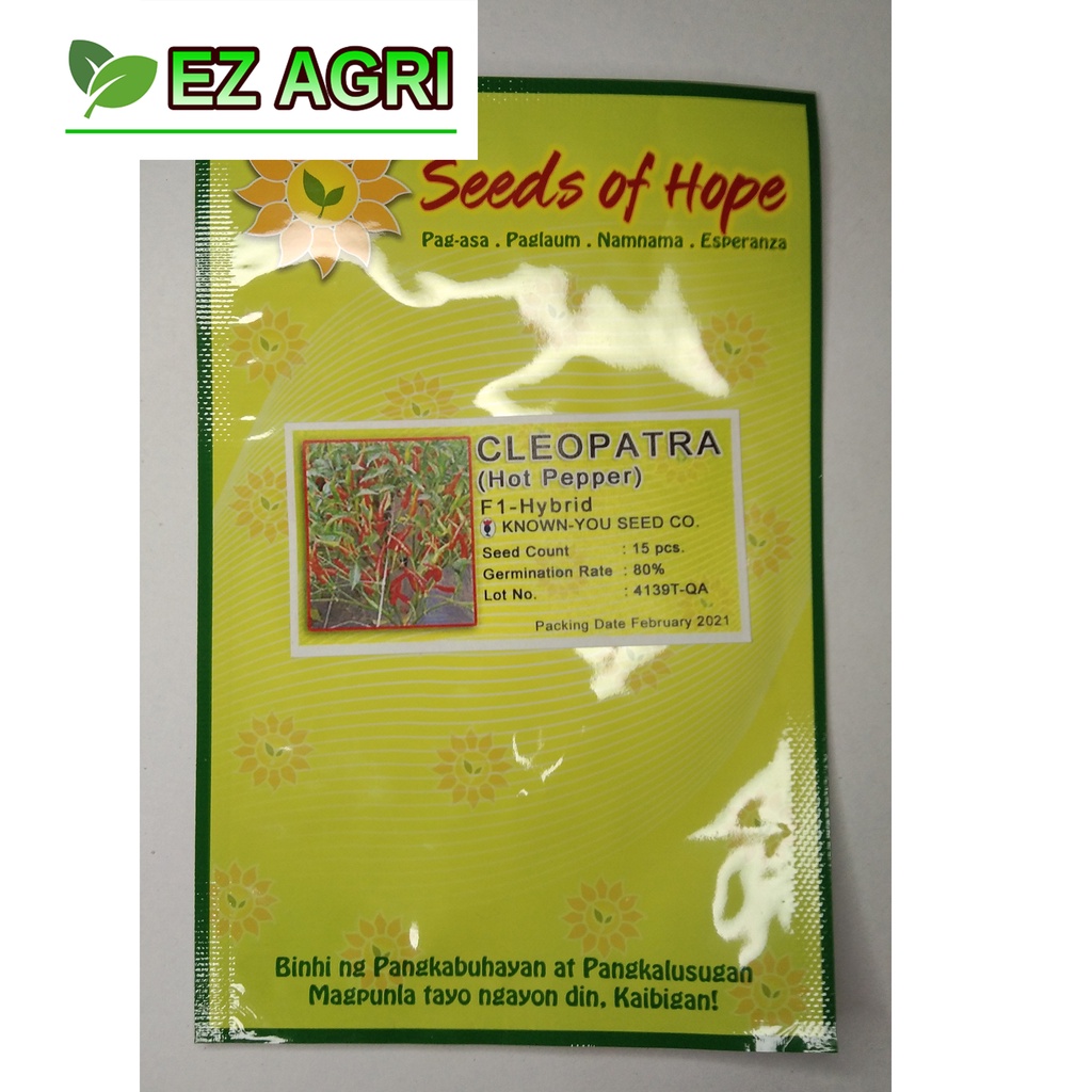 Fast Shipping Siling Labuyo Hot Pepper seeds disease resistant Sili ...