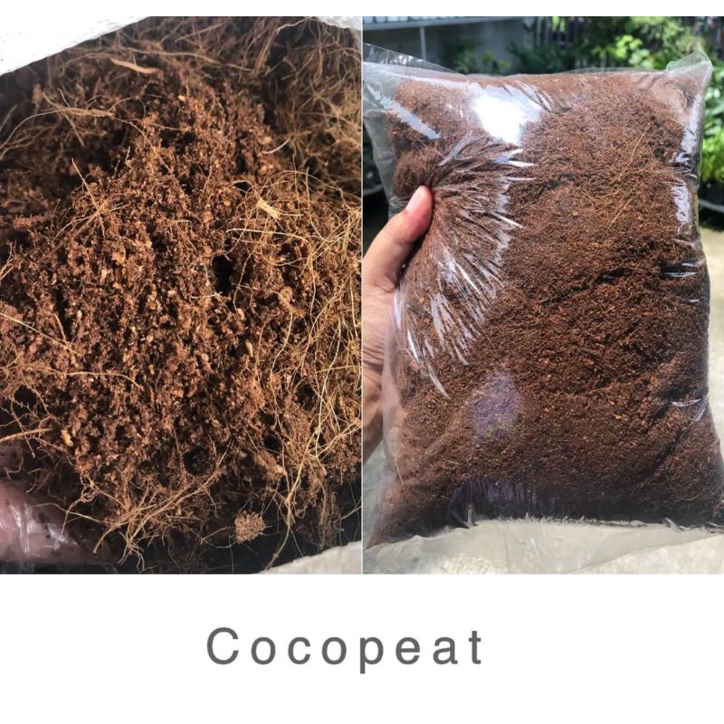 COCOPEAT 1kg per pack | Shopee Philippines