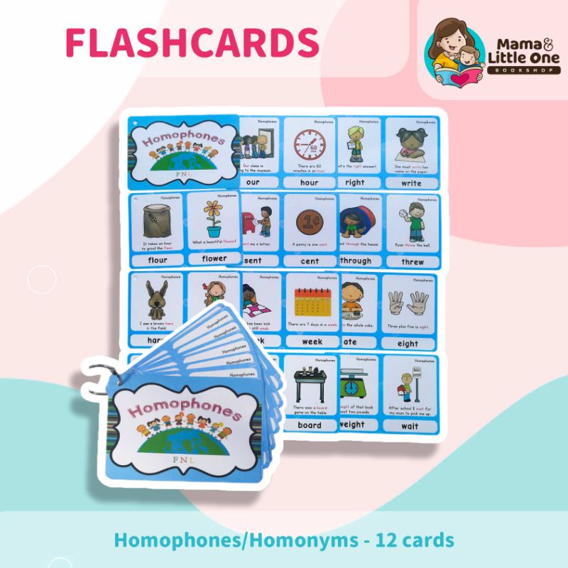 Homophones Homonyms English Grammar Visual Aid Educational Toy Picture ...