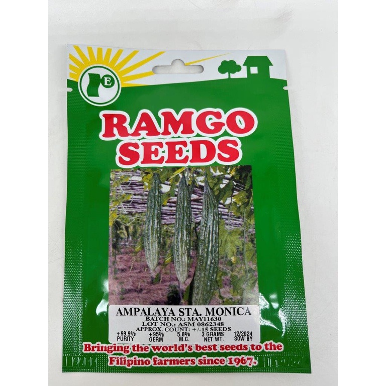 RAMGO AMPALAYA STA MONICA SEEDS ( ORIGINAL GARDEN PACK ) | Shopee ...