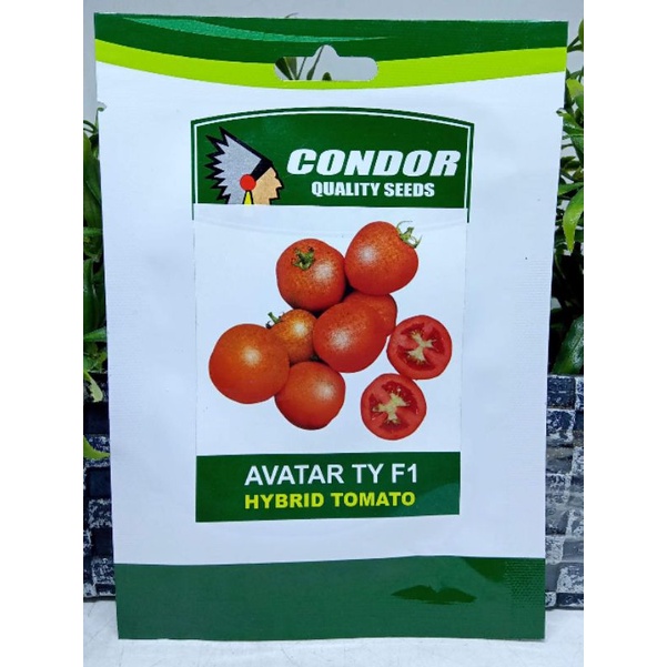 Avatar TY F1 '' Hybrid Tomato '' / Condor Sachet ( 0.3gms ) | Shopee ...