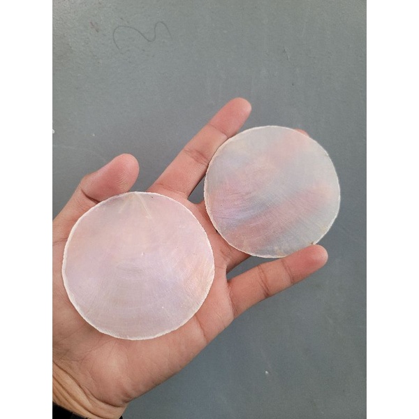 Capiz Shell Round Natural 3 inch, 10 pcs | Shopee Philippines
