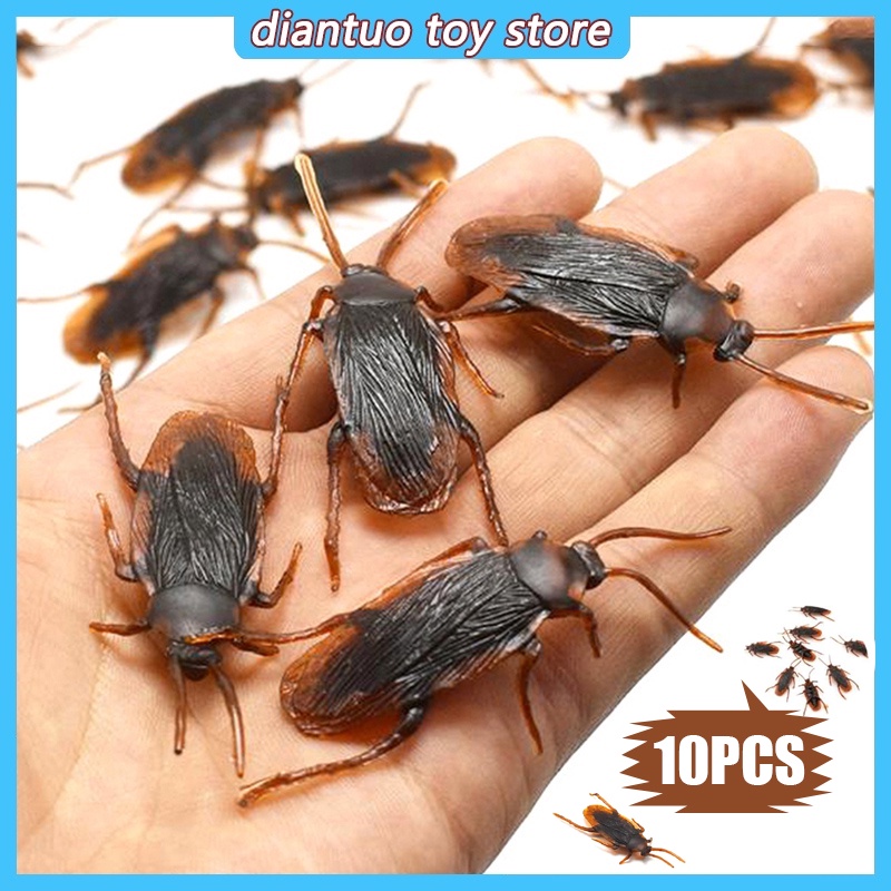 plastic cockroach - Best Prices and Online Promos - Mar 2023 | Shopee ...