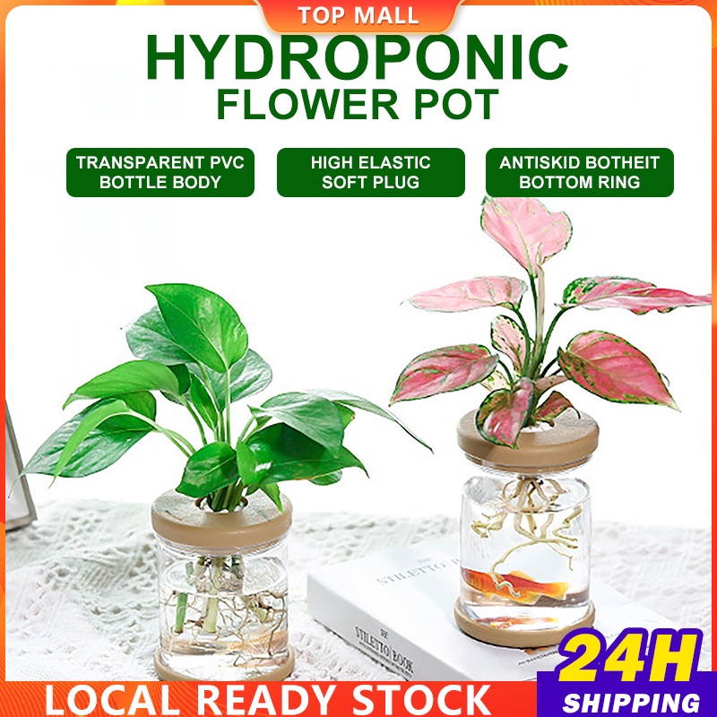 Hydroponic Pot Transparent Water Planting Vase Propagation Pots For ...