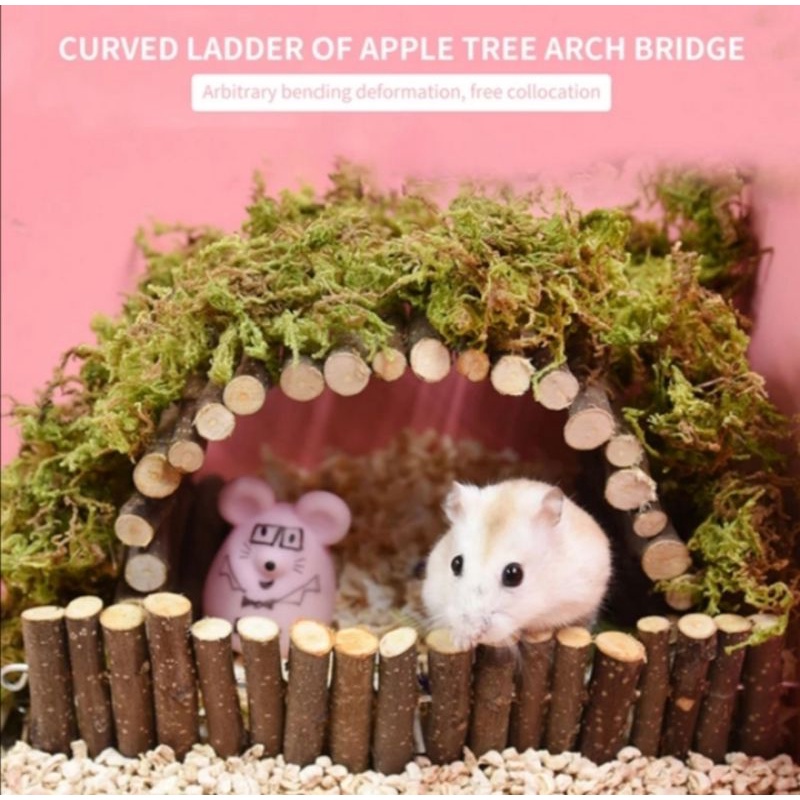 Apple Branch Wood Bridge 20x10 cm for Hamster and Guineapig | Shopee ...