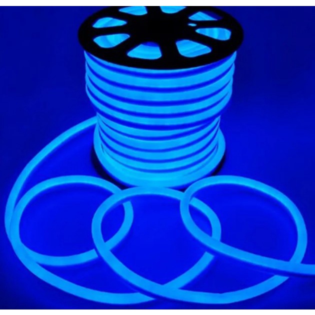 NEON Rope Light 220V 5meters,14mm diameter,with power adaptor Variety ...