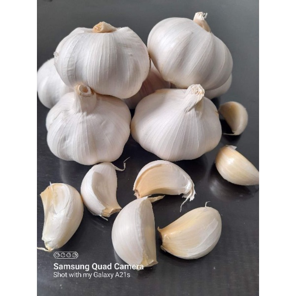 Fresh Garlic 500g | Shopee Philippines