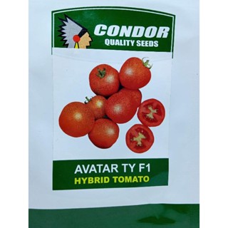 Avatar TY F1 '' Hybrid Tomato '' / Condor Sachet ( 0.3gms ) | Shopee ...