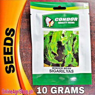 WINGED BEAN SIGARILYAS SEEDS (10 GRAMS) CONDOR SEEDS | Shopee Philippines