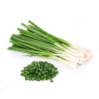 Dahon ng Sibuyas/Bunching (50pcs seeds) | Shopee Philippines