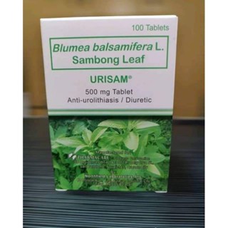 sambong - Best Prices and Online Promos - Feb 2023 | Shopee Philippines