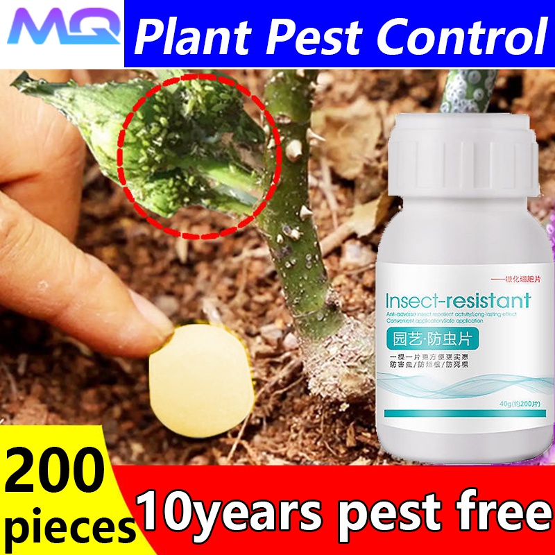 insecticide and pesticides for plants insecticide for vegetables for ...