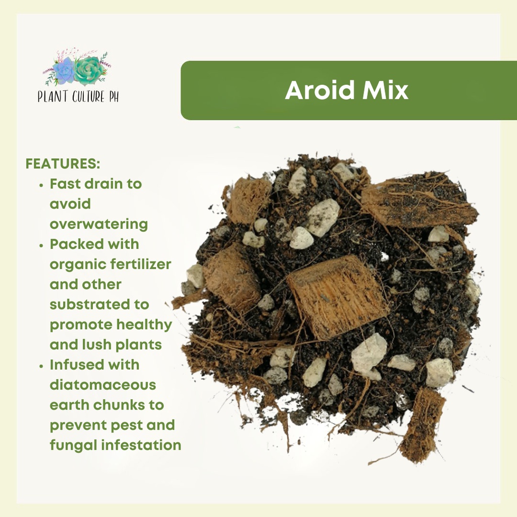 Plant Culture PH Premium Aroid Potting Mix 500g Soil Mix, For Indoor ...