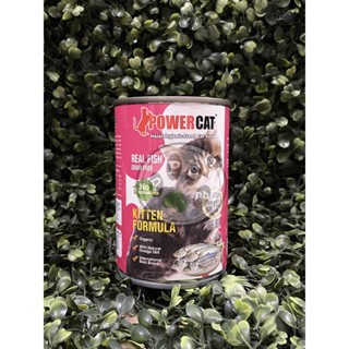 Powercat Wet Cat Can Food 400g | Shopee Philippines