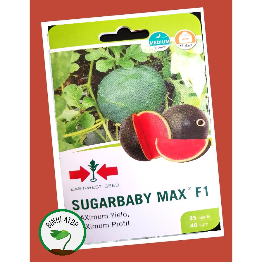 East-west Sugar Baby Max F1 Watermelon Seeds (1 Pack - 35 Seeds ...