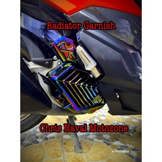 Honda ADV 160/ Click 160/ Airblade 160/ PCX 160 Titanium Radiator Cover ...