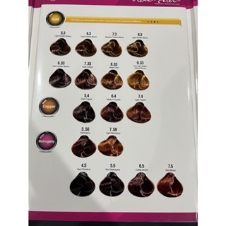 SUNBRIGHT SERIES COLOR CHART | Shopee Philippines