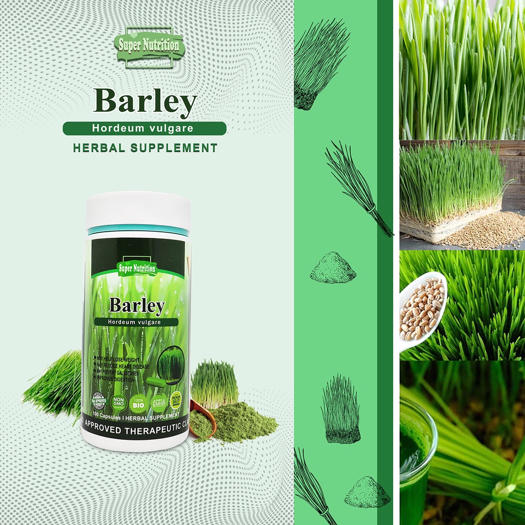Barley Herbal Supplement 100 Capsules x 500mg Bottle (Hordeum Vulgare ...