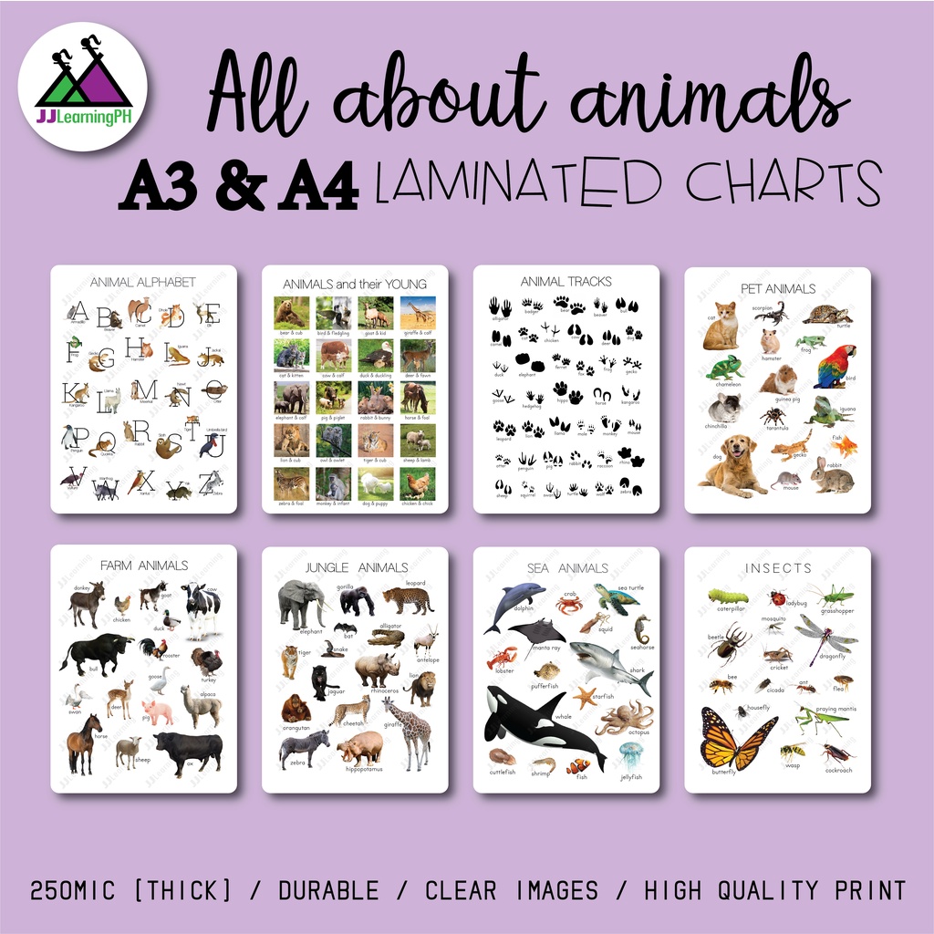 Minimalist Laminated Educational Charts (A4 A3 size) Pet Jungle Animals ...