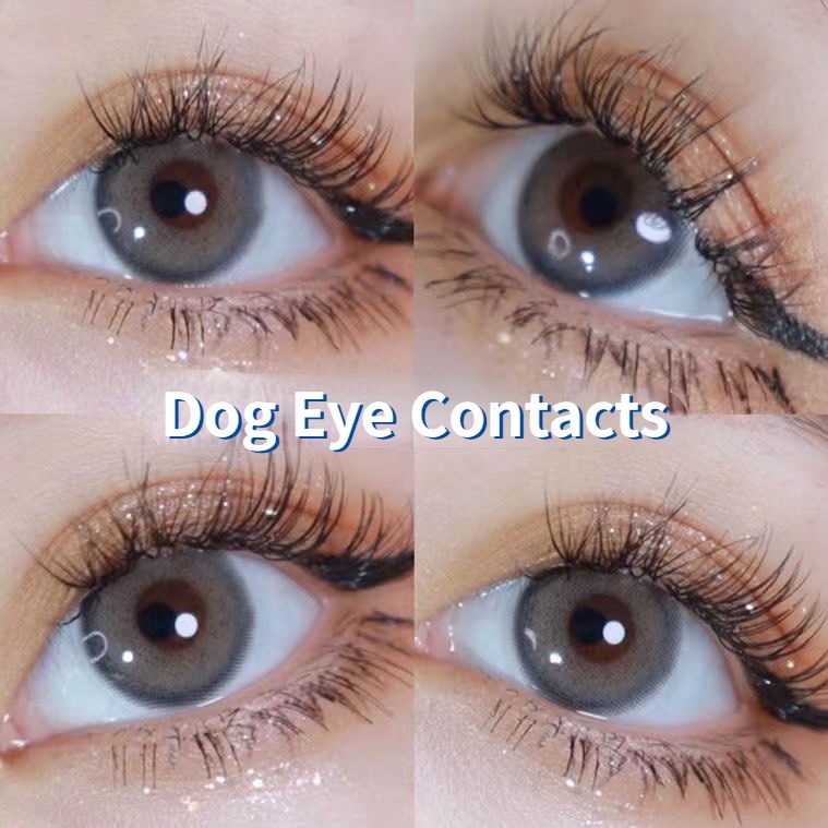 Gray Dog Eye Contact Lenses, 14.20mm Color Grade Contacts | Shopee ...