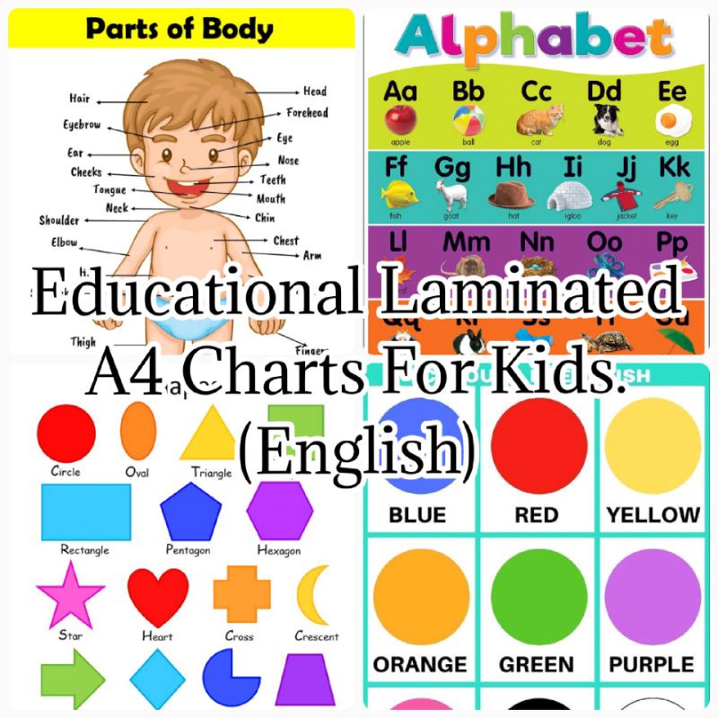 laminated Educational A4 Charts For Kids (30 mic) | Shopee Philippines