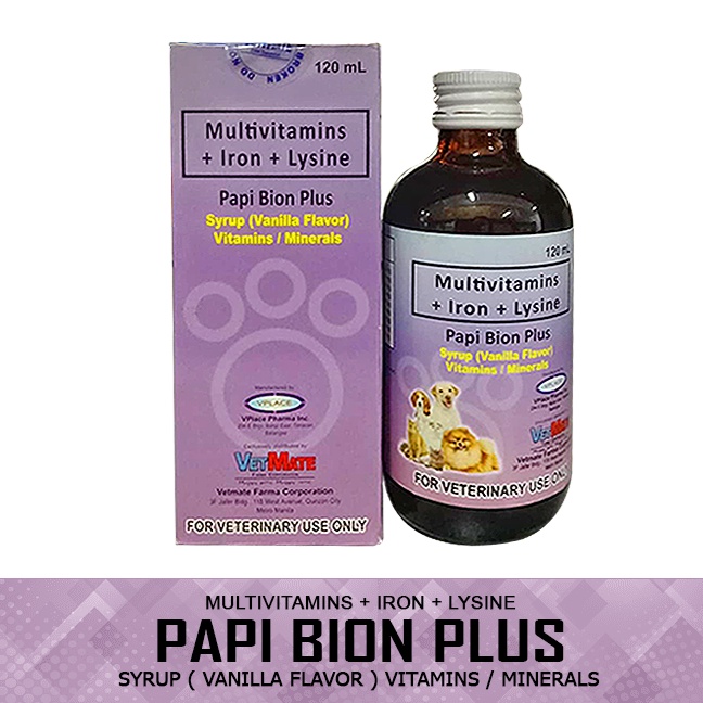 FPR-Papi Bion Plus Syrup Multivitamins+Iron+Lysine Vanilla Flavor ...