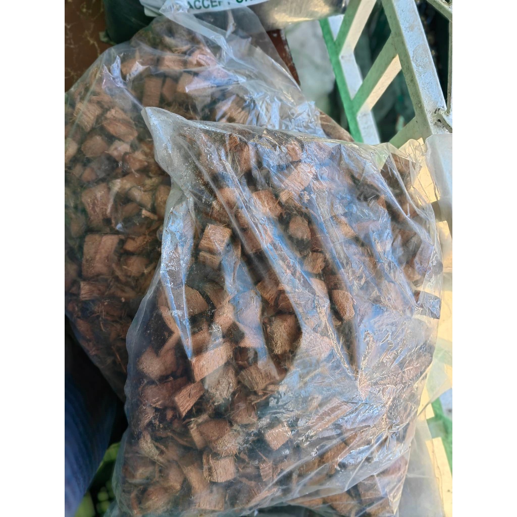 Coco Cubes and Coco Chips from Coconut Husks Pure Coco Peat Cocopeat ...