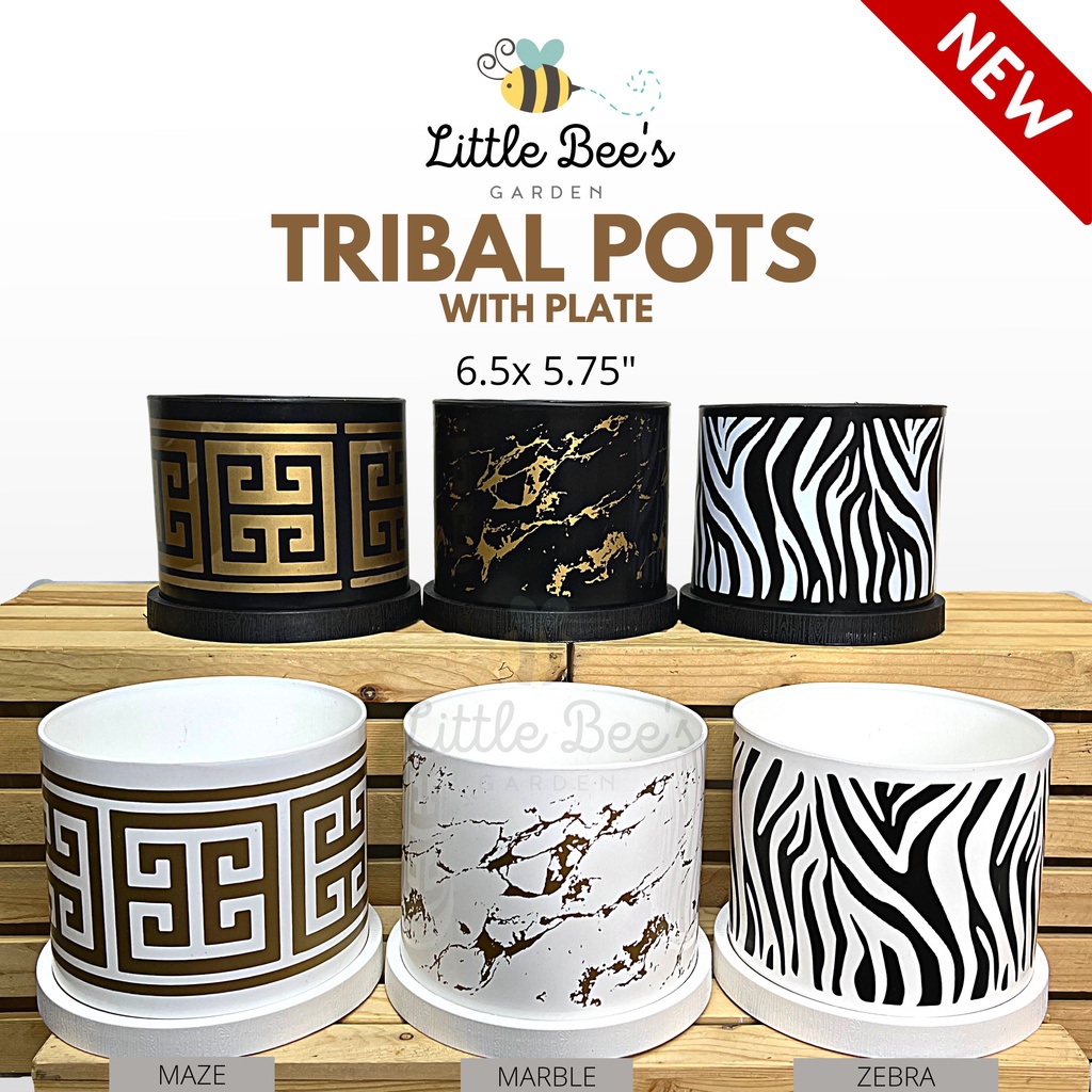 Tribal Stylish Printed Pots with Catch Plates NEW DESIGNS [Little Bee's ...