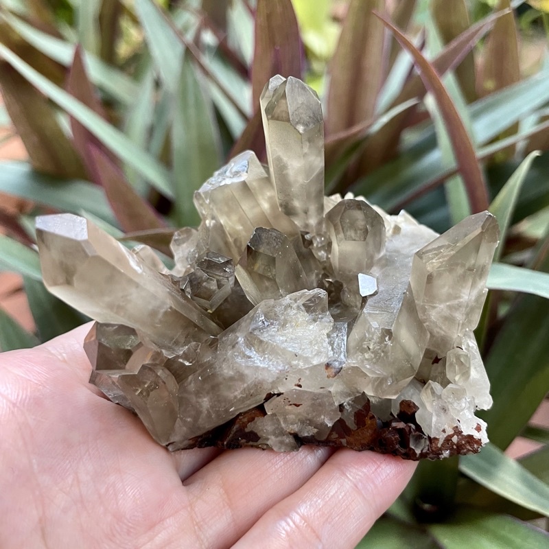 Smokey Quartz Raw Clusters (Grounding and Cleansing) Natural Crystals ...