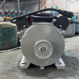 Special motor for grinding machine Electric motor for grinding machine ...