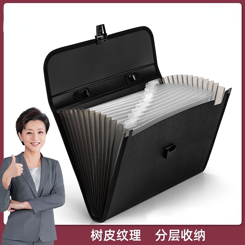 Deli brand A4 Expanding File Folder Document storage with handle 13 ...