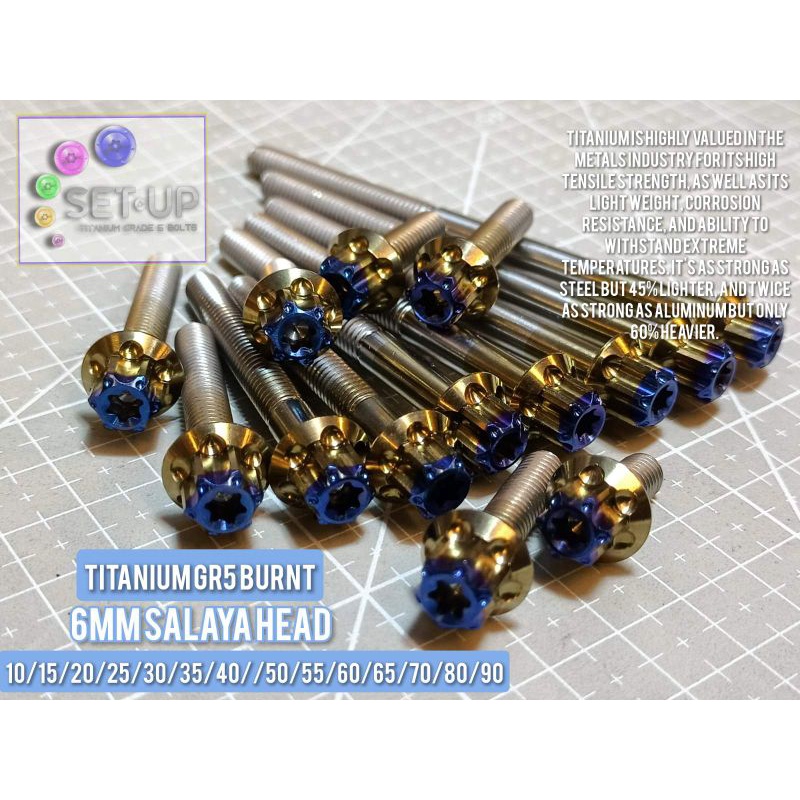 TITANIUM GR5 BURN 6MM SALAYA HEAD (10mm to 90mm ) | Shopee Philippines