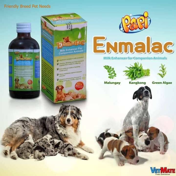 Papi Enmalac Milk Enhancer 120ml for lactating pregnant dogs cats ...